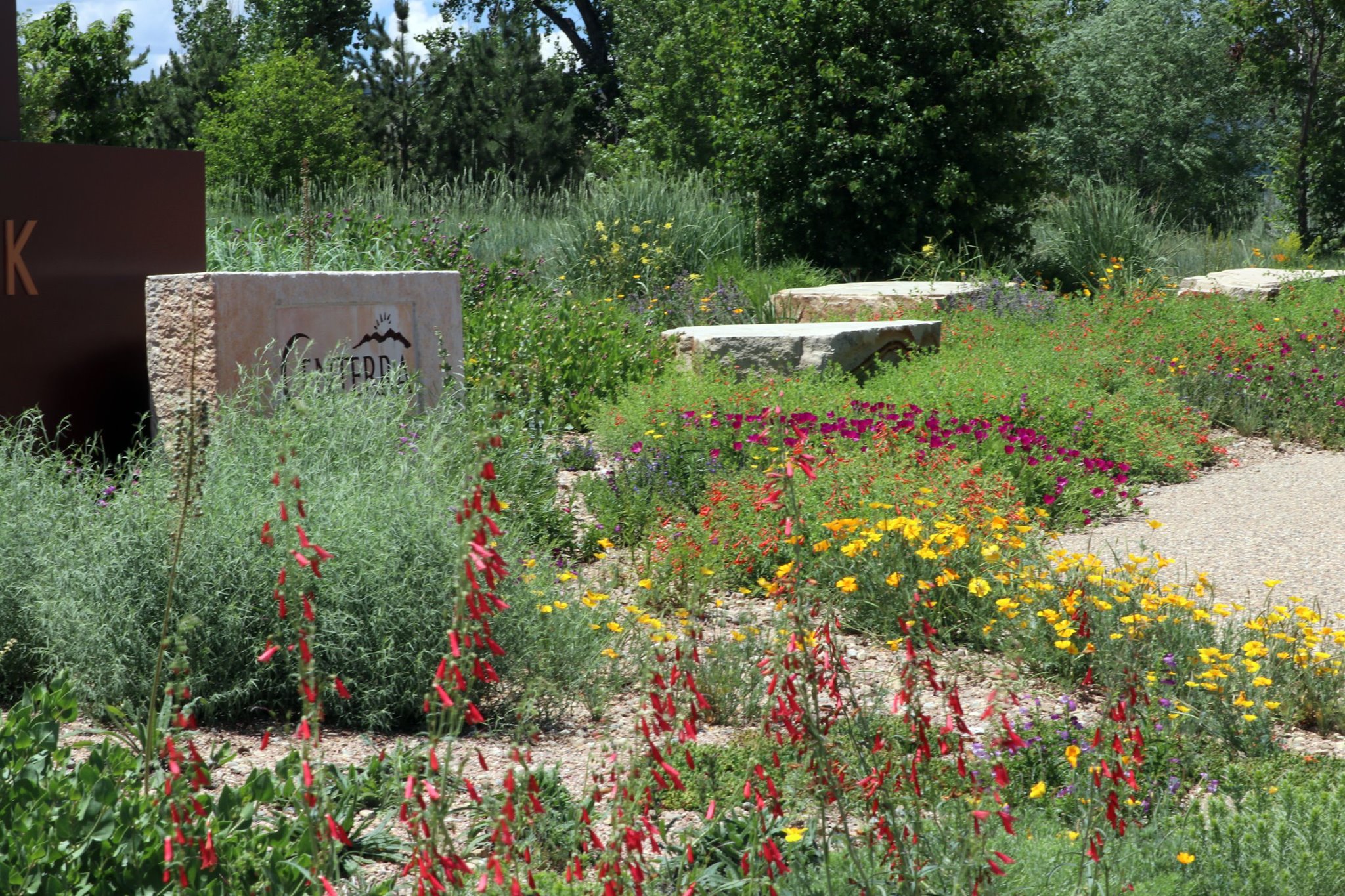Interpretive Nature Walk at Chapungu Sculpture Park - The Lakes - Centerra